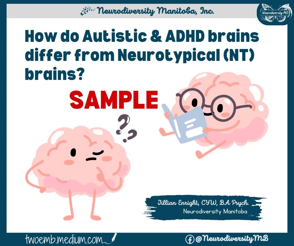 ADHD and Autistic Brain Differences PKG