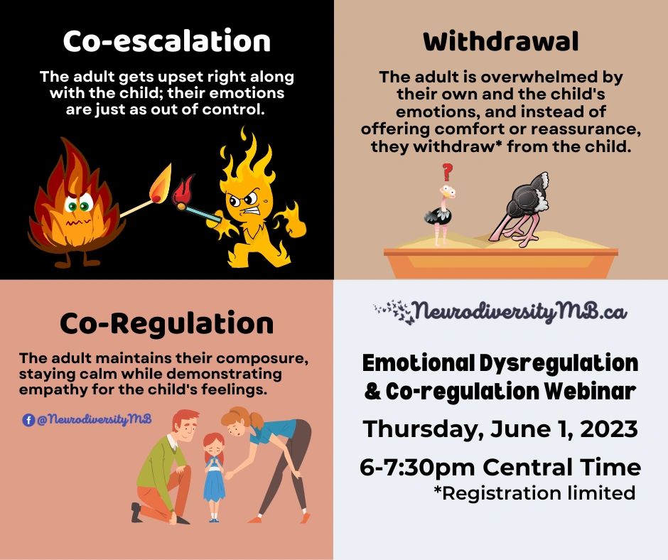 Emotional Dysregulation and Co-regulation Webinar