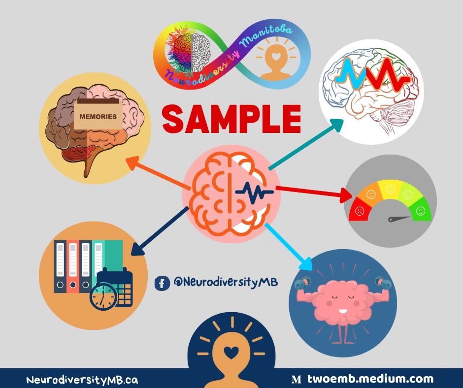 Executive Functioning Package for Adults
