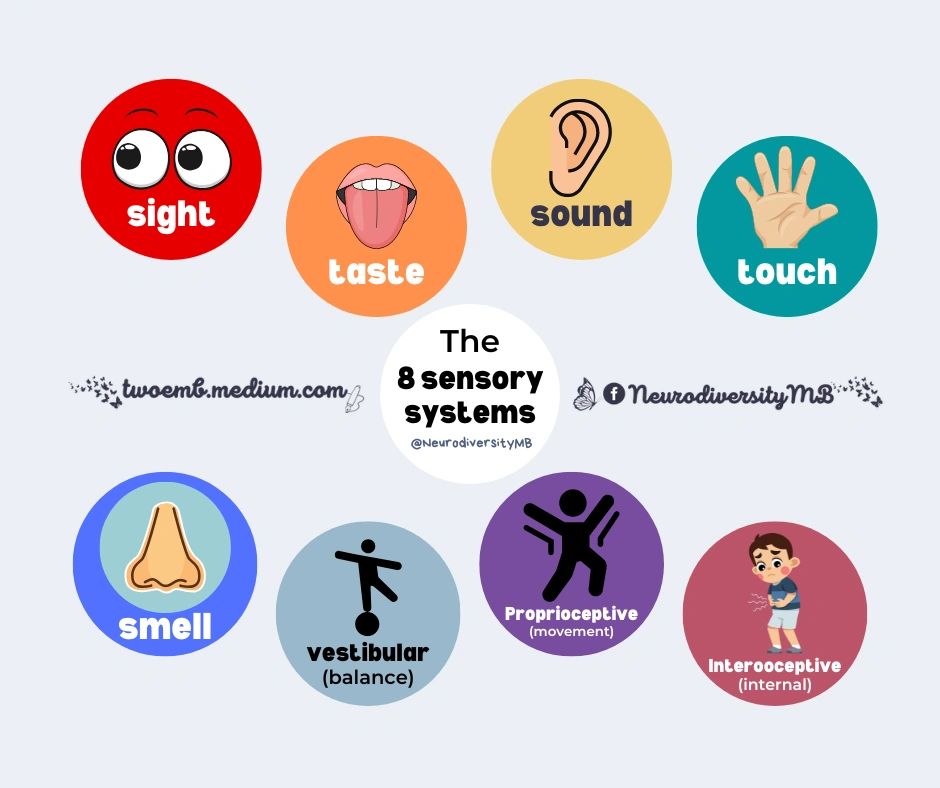 The Sensory Spectrum