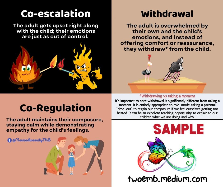 Exploring Emotional Co-Regulation