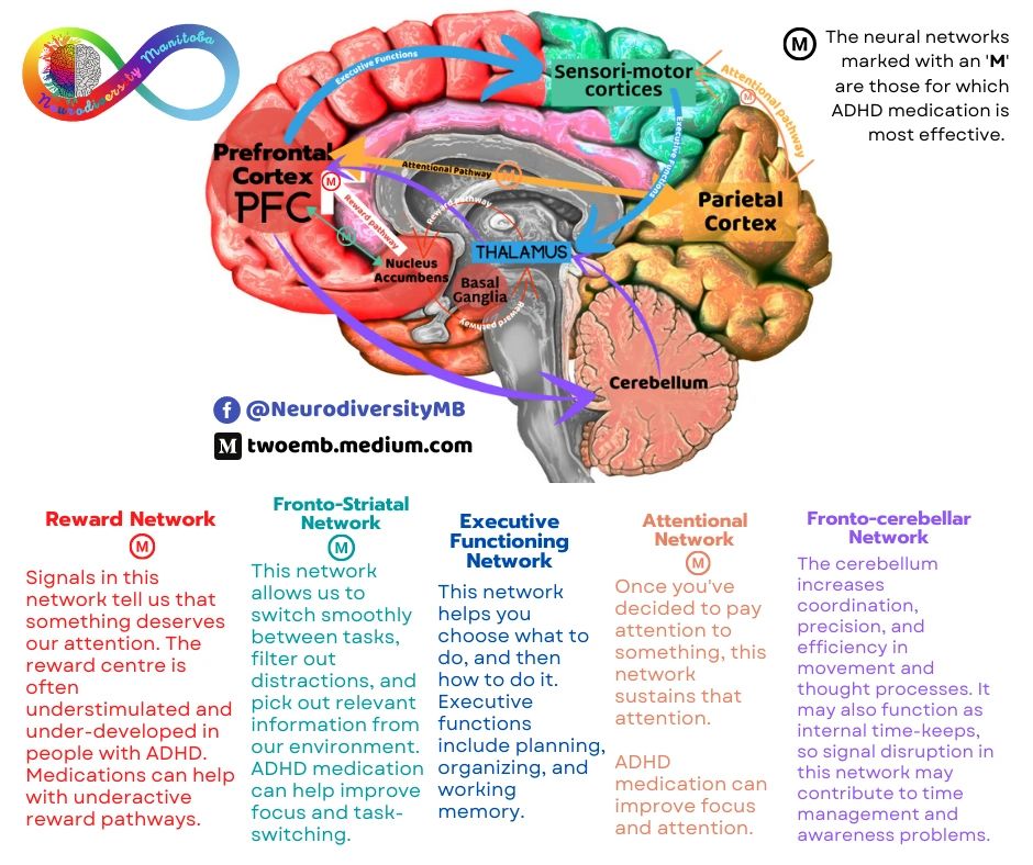 ADHD and Neural Networks