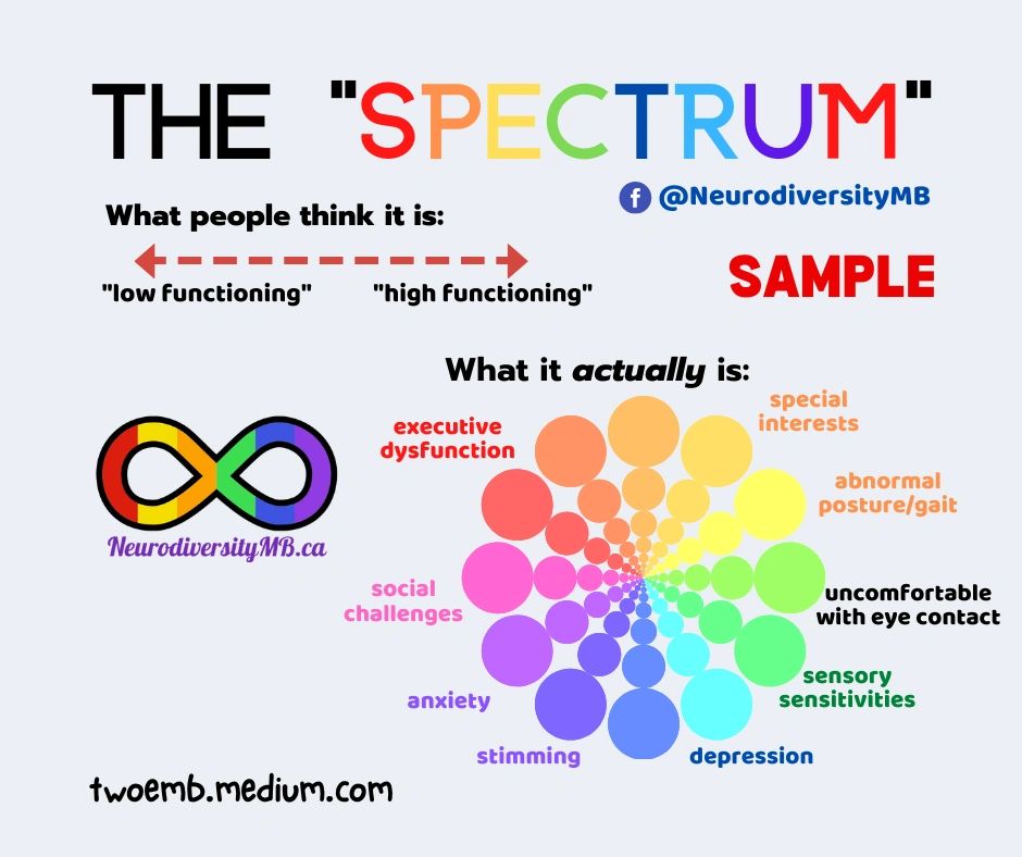 The Autism Spectrum