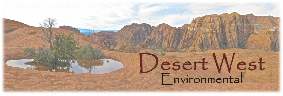 Desert West Environmental, LLC - Environmental Consulting