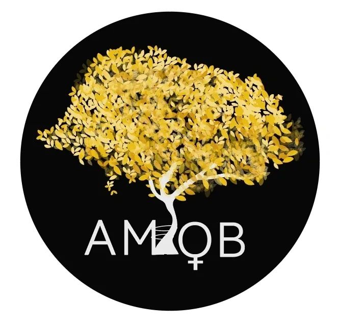 Quem somos | AMOB - Associação de Mulheres Ortopedistas do Brasil