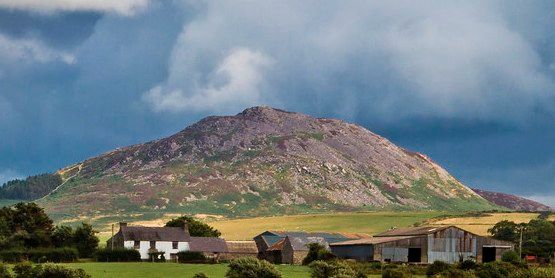 Garn Fadryn B8 by Jo-Anne