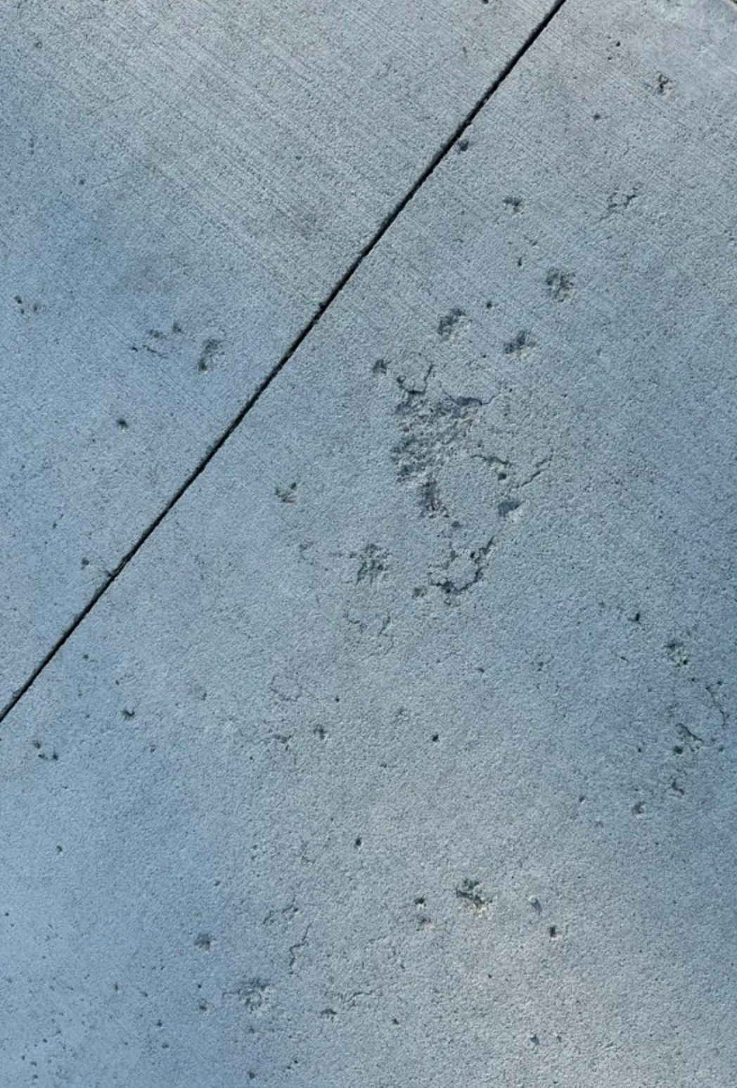 Concrete Surface Defects: The Role of 1L Cement and Road Salt