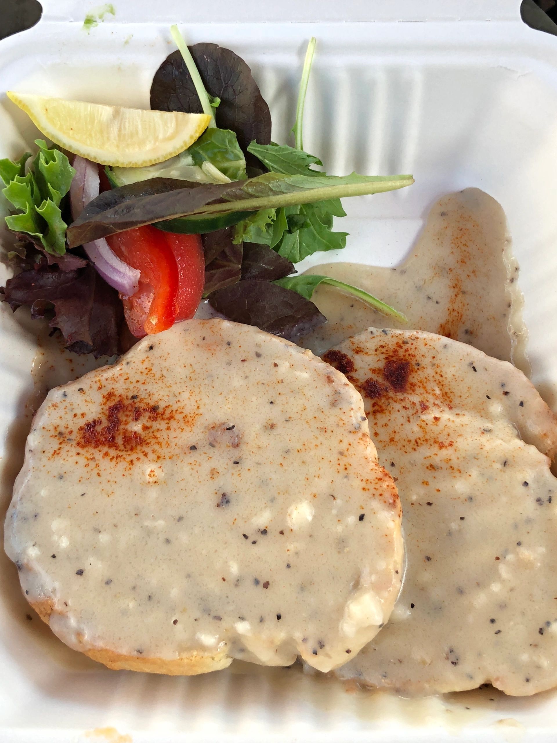 Plant Slant Journey Hits The Road To Inspire Family