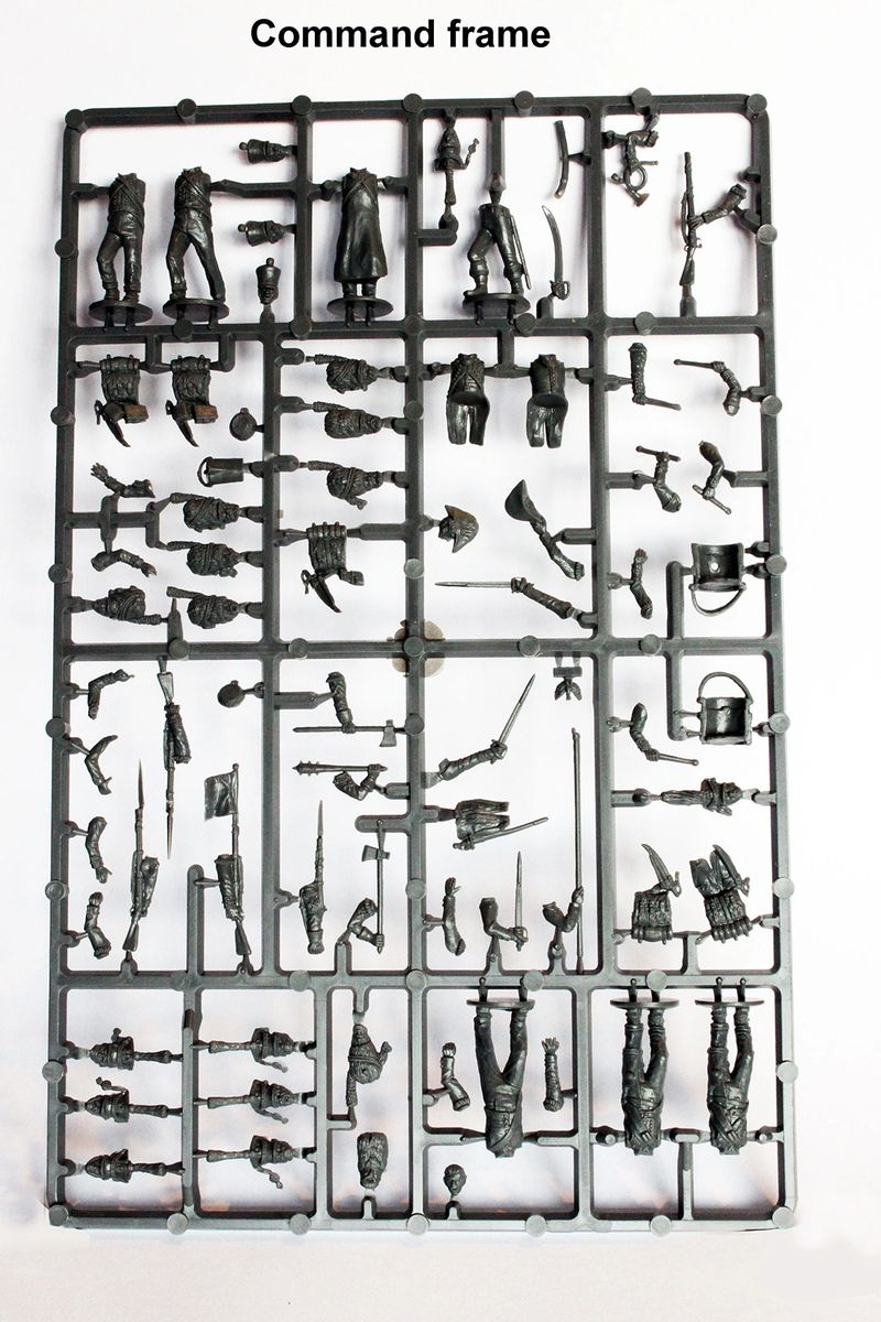 Duchy of Warsaw Command sprue (P)