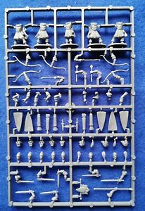 Elven Light Infantry