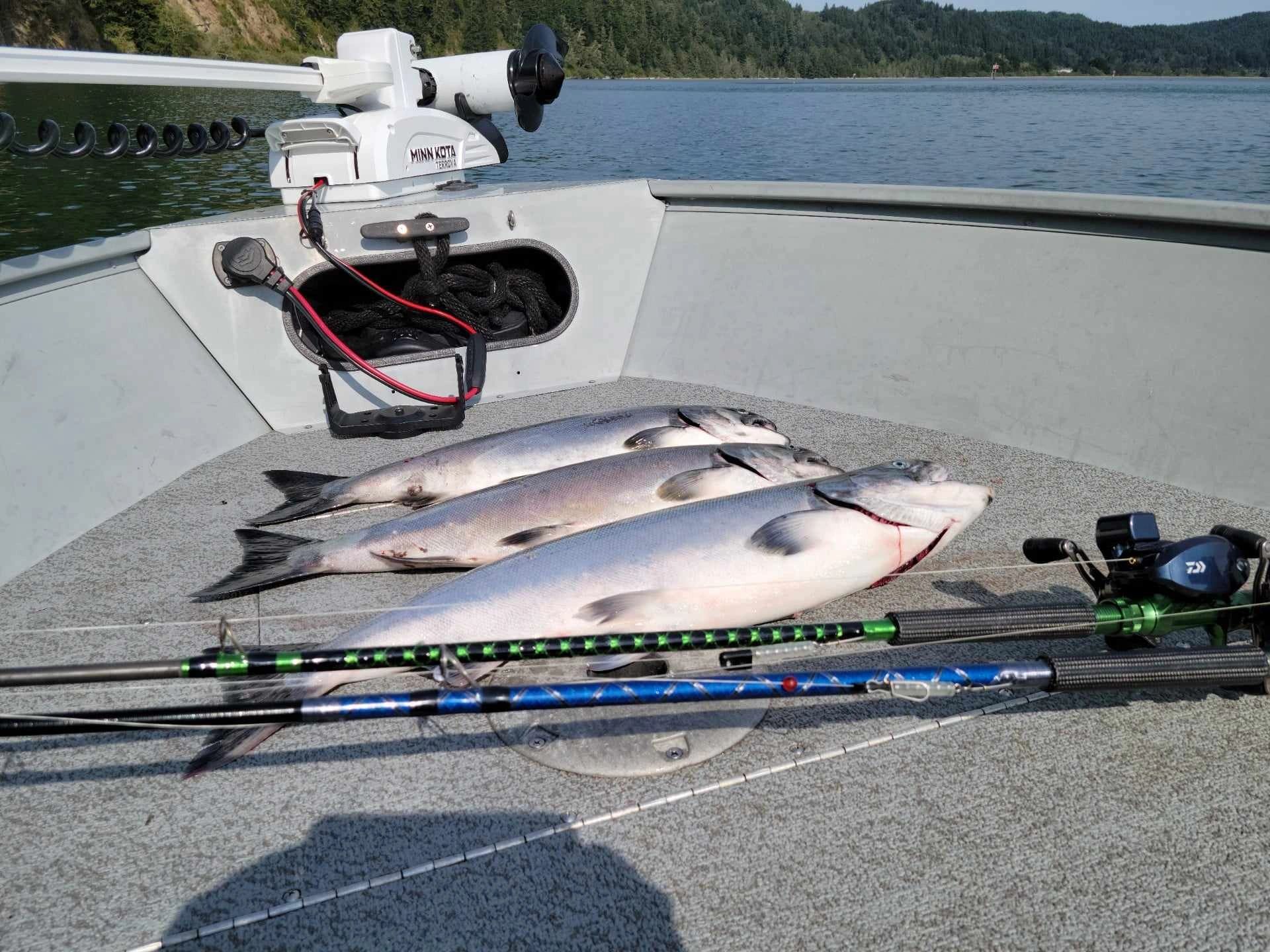 Custom Rods for Hunting and Fishing | Knot 4 Hire