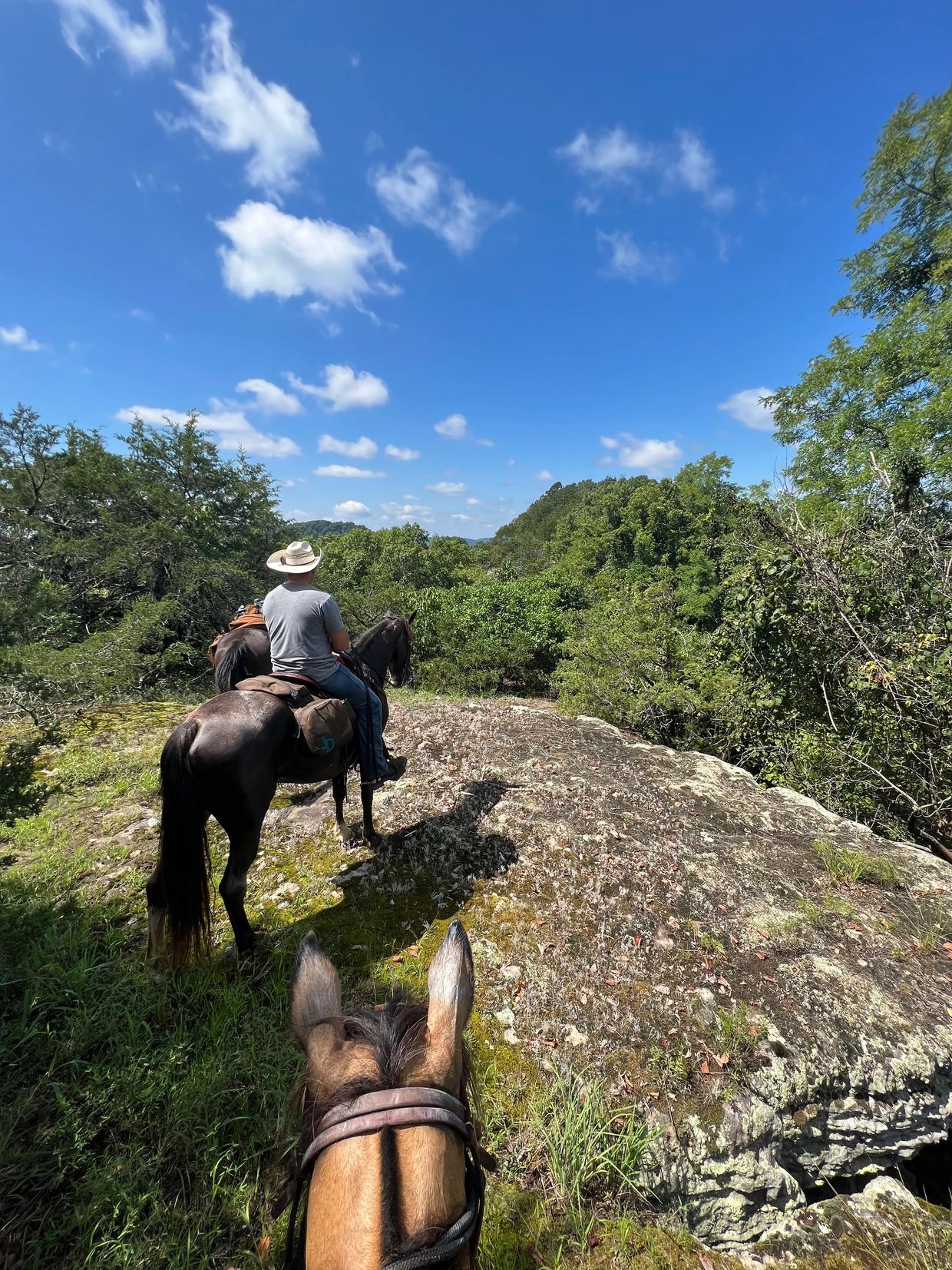 Eminence Trailrides - Horseback Trailrides, Horseback Riding ...