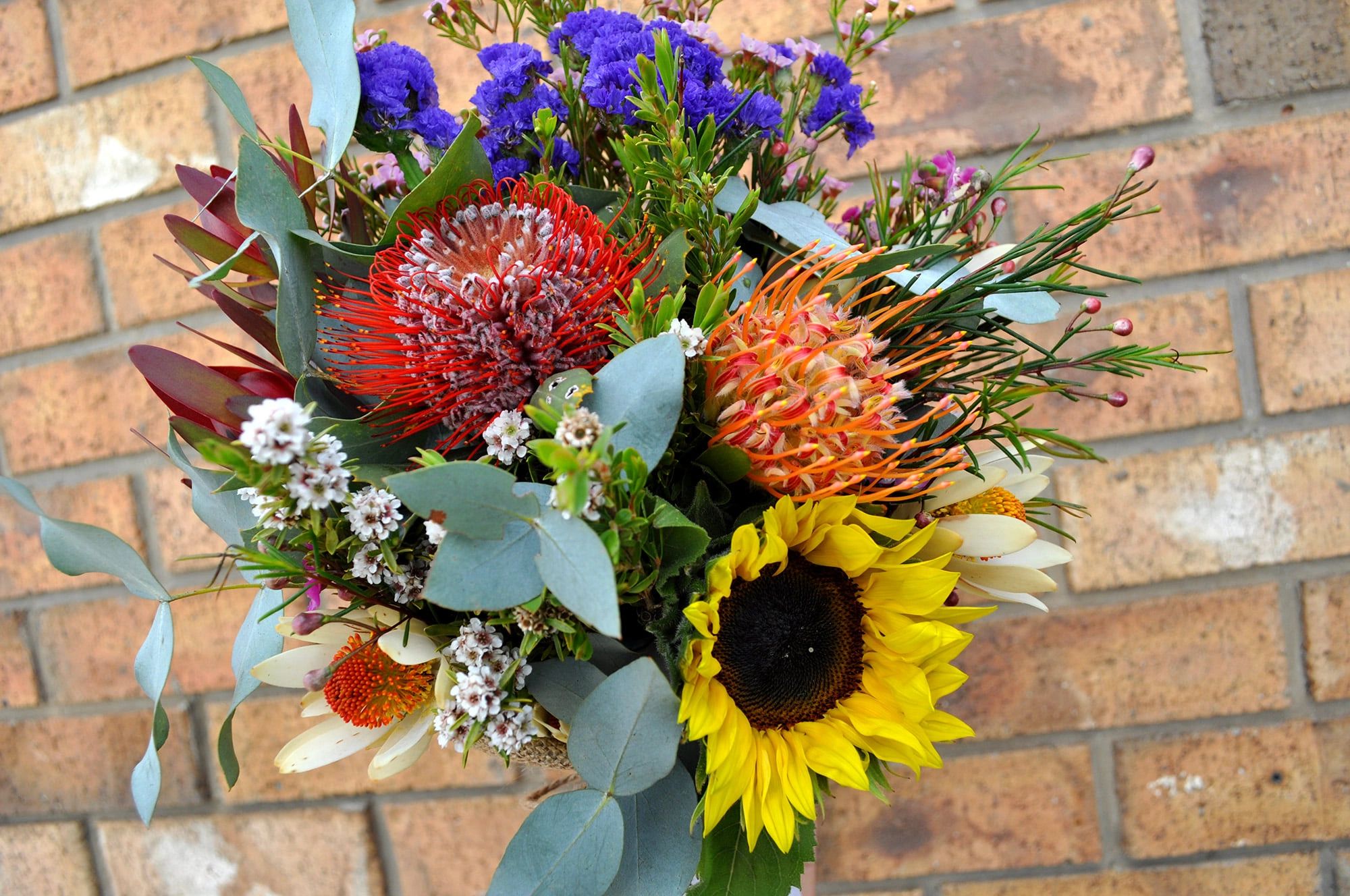Five best grey foliage Eucalyptus for cut flower displays