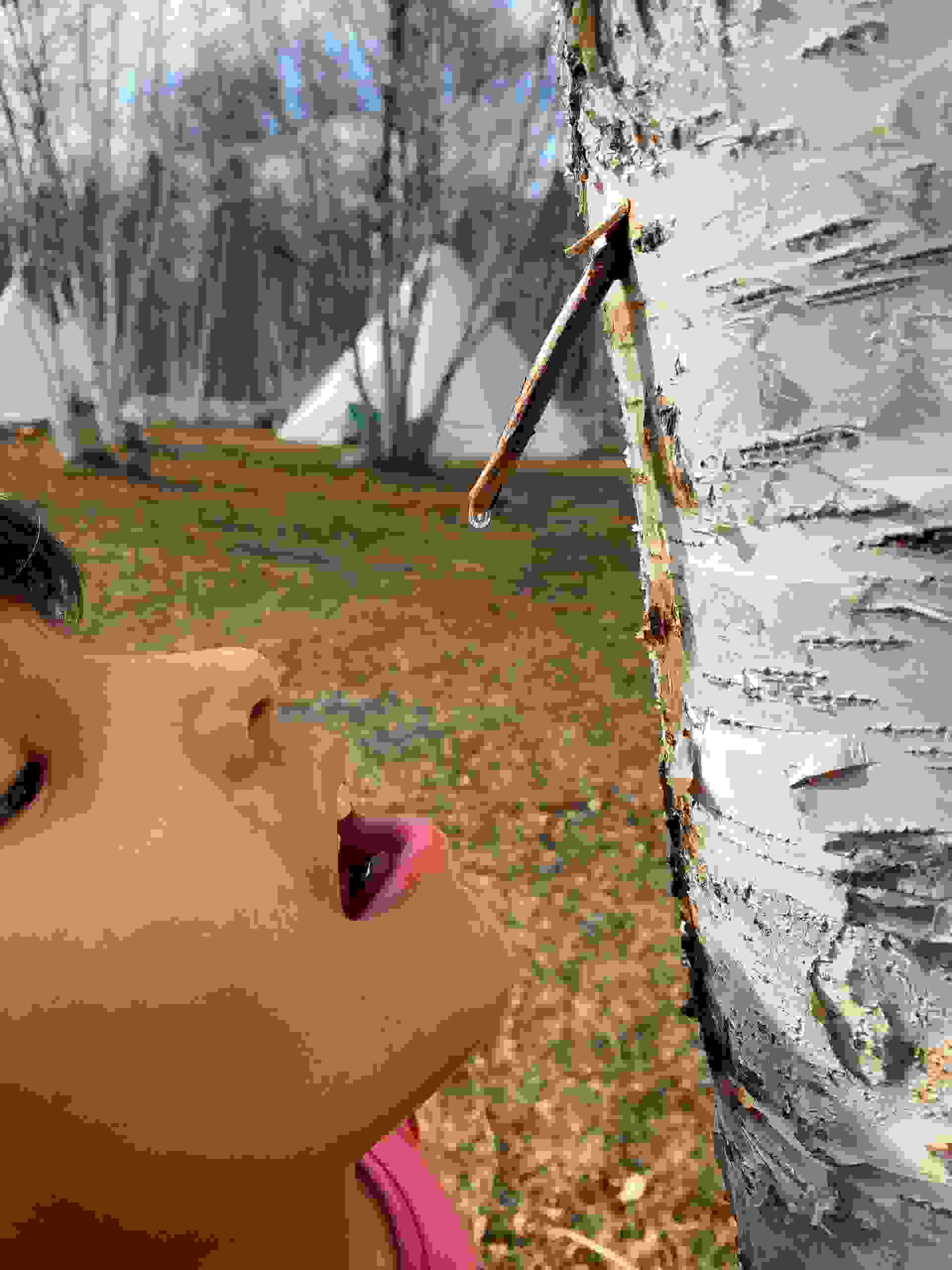 Home English | kâniyâsihk Culture Camps