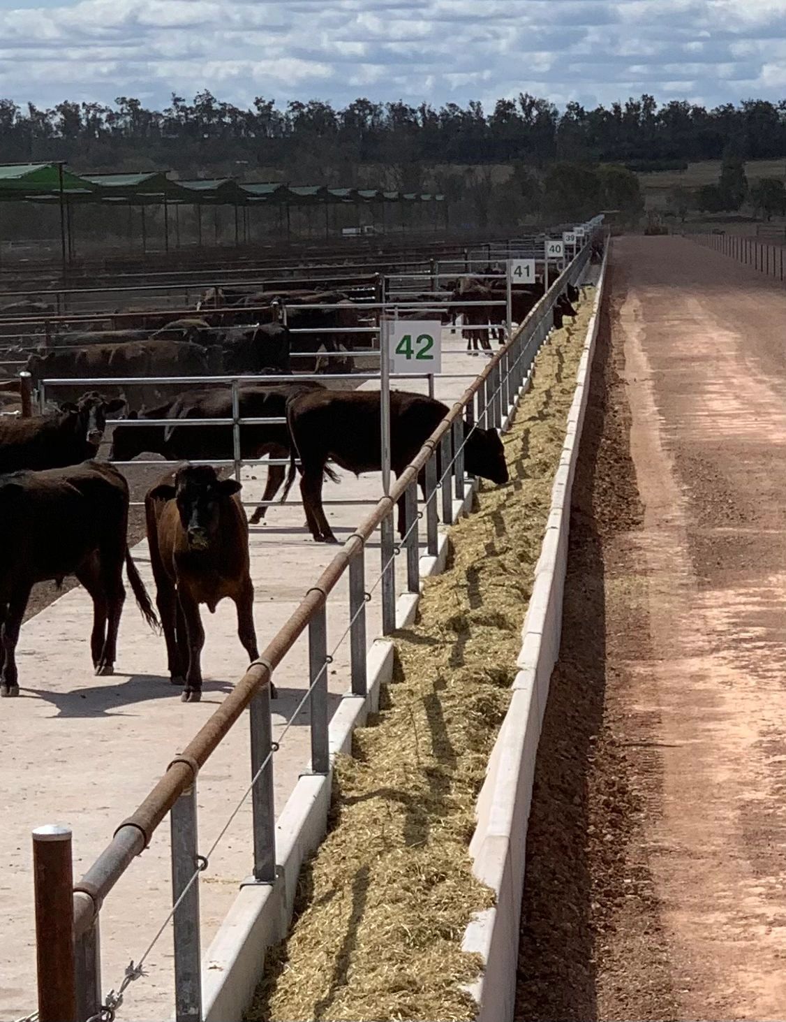 Broadwater Precast - Precast Concrete, Concrete Troughs and Precast ...