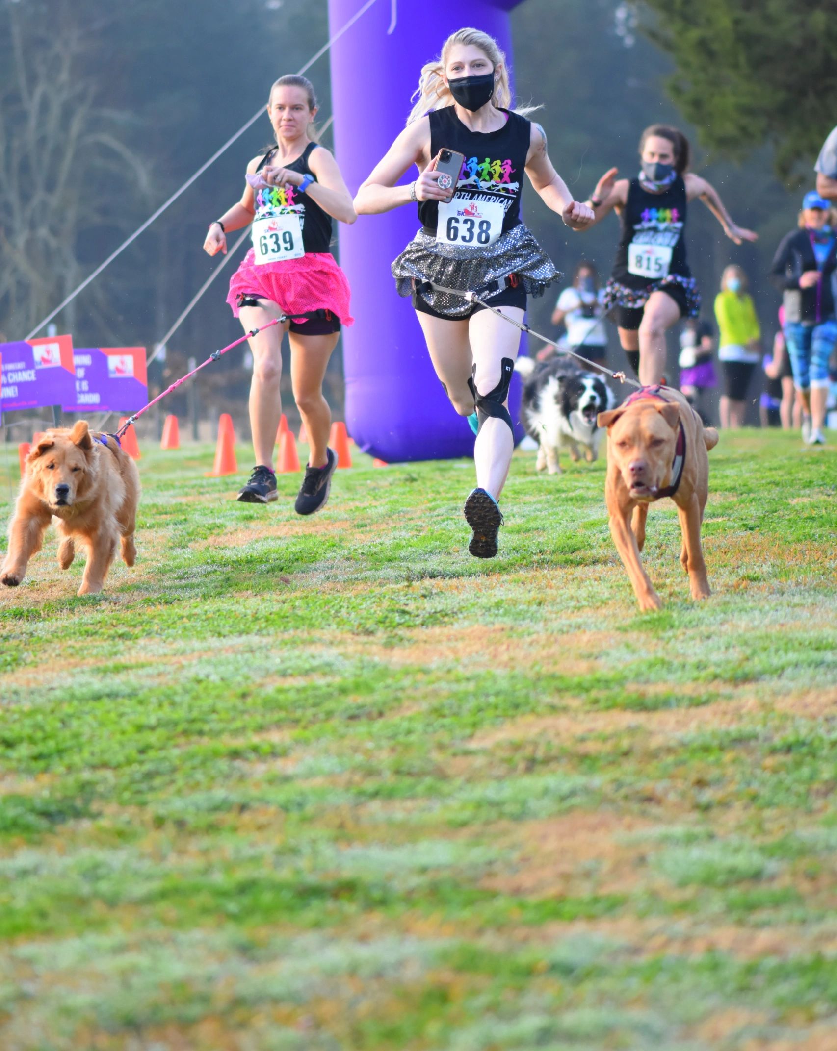 How Many Miles Can My Dog Run