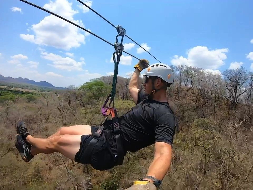 Roy Shick - ROY SHICK