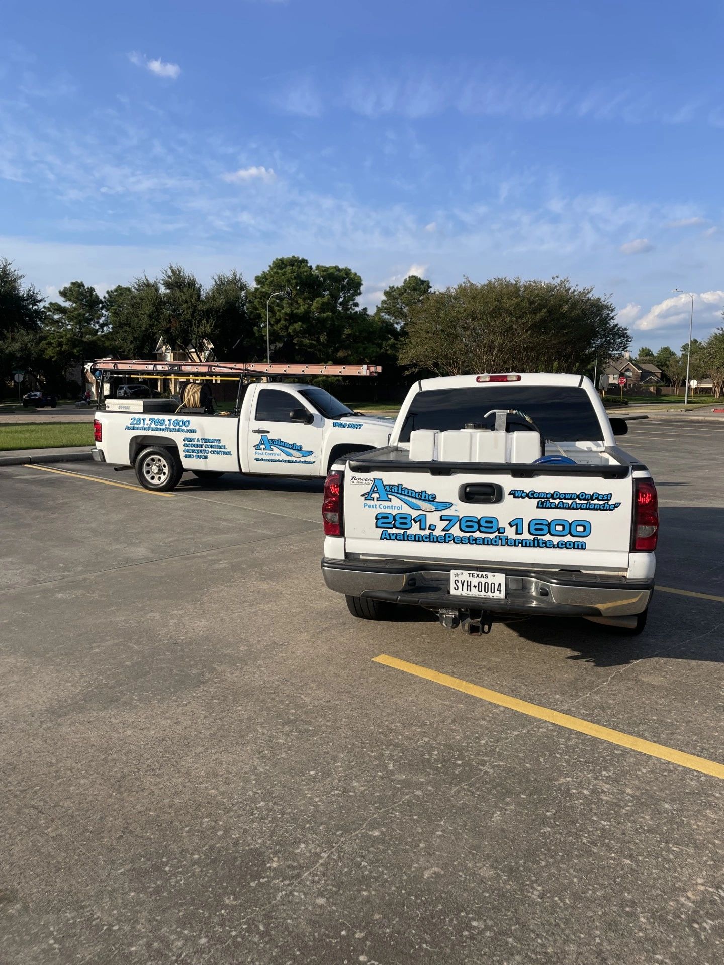 Avalanche Termite & Pest Control Katy TX Pest Control Experts