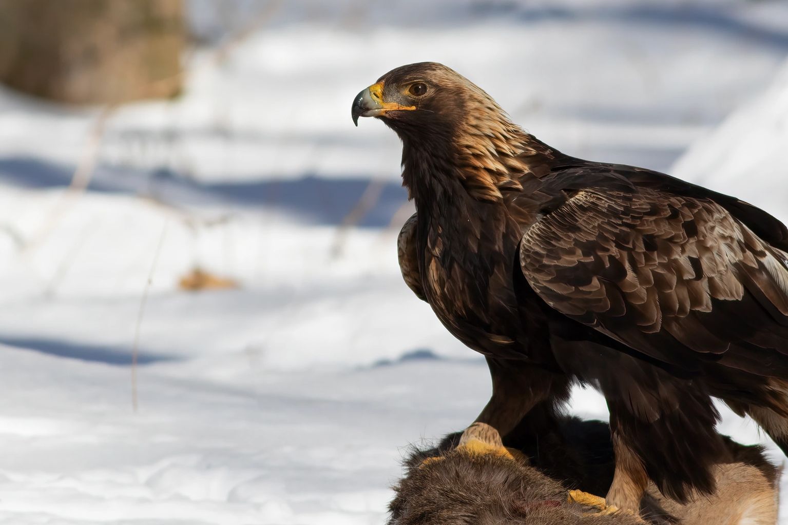 New developments in the field of science