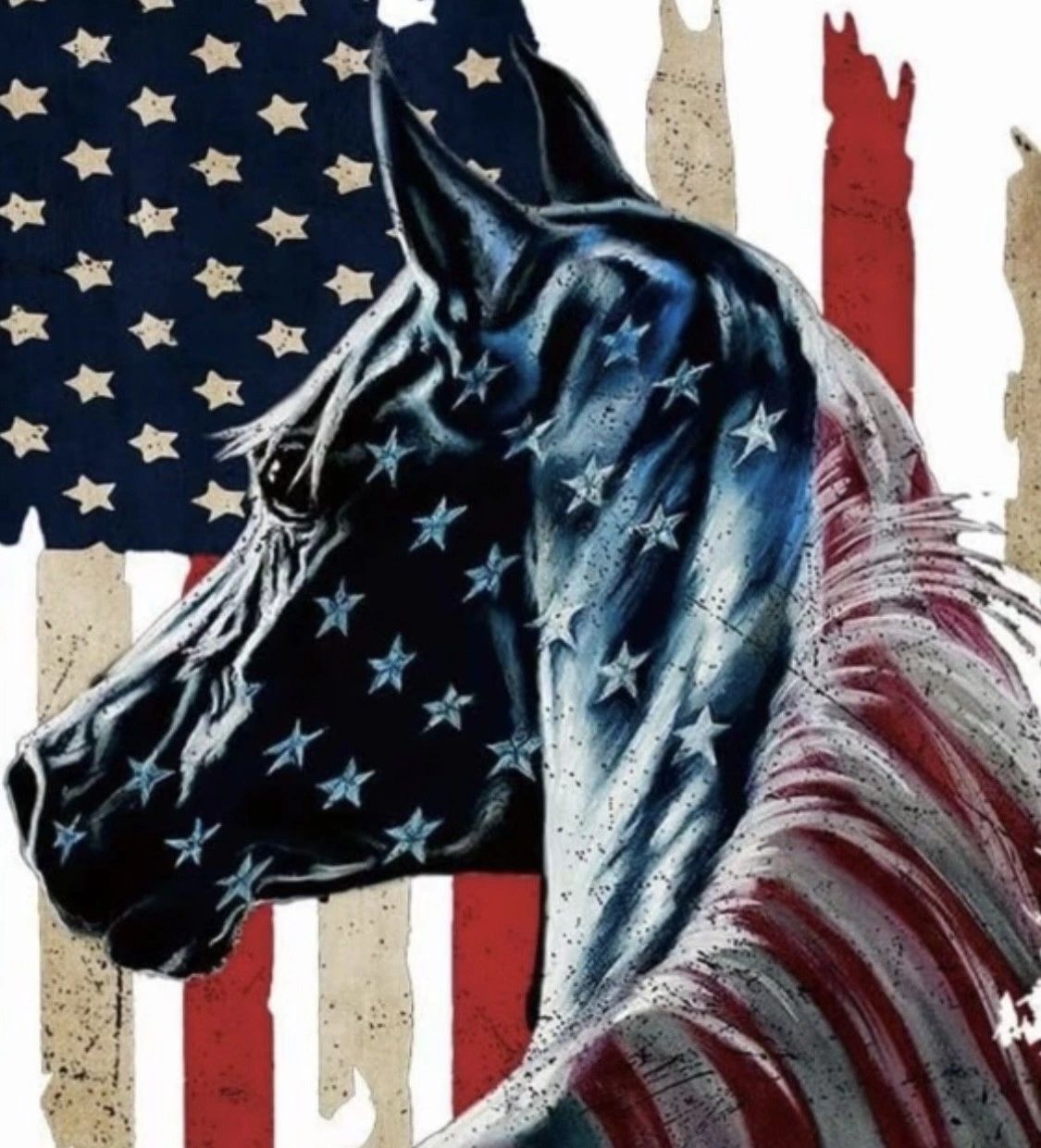 Best Horseback Riding Lessons in Patriot's Ranch