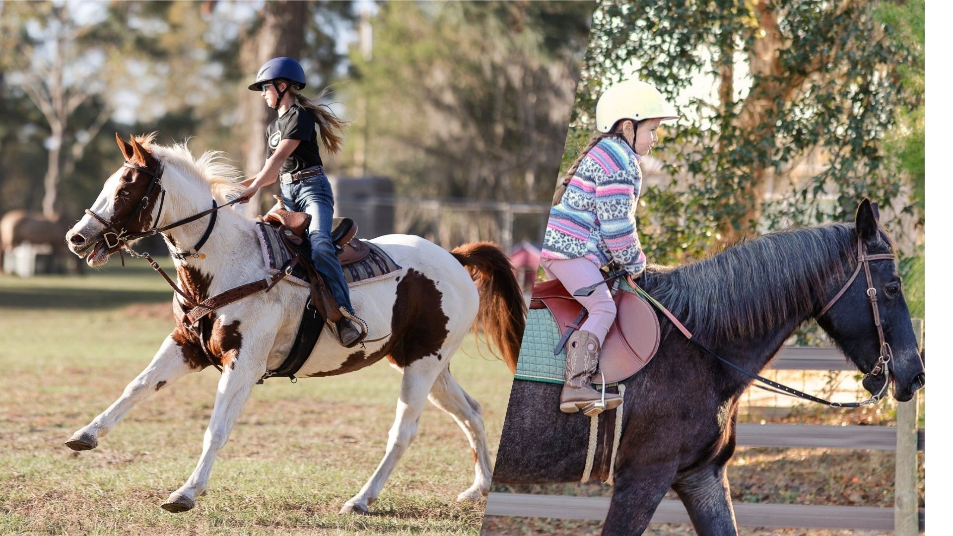 Best Horseback Riding Lessons in Patriot's Ranch