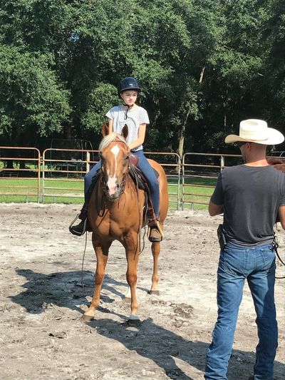 Riding Lessons | Old Wire Stables