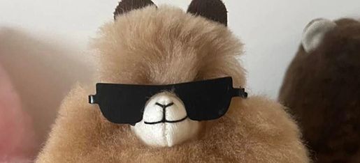 Calderbrook Alpacas - Your Destination for Alpaca Farm Experience