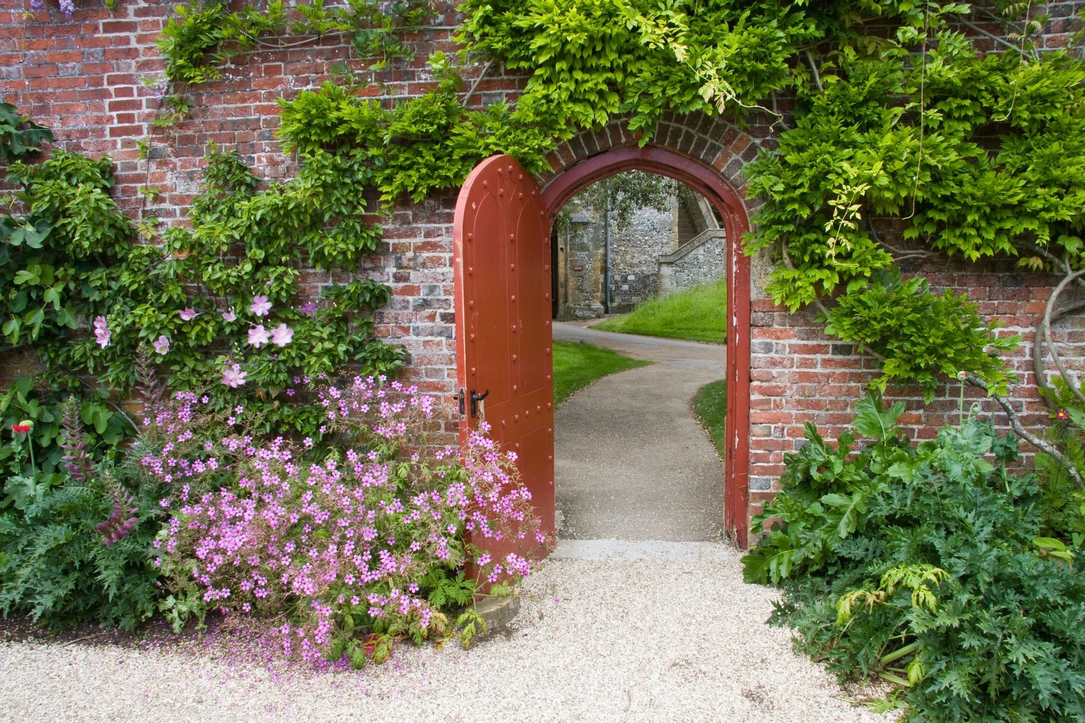 Resources | An Open Door to Life
