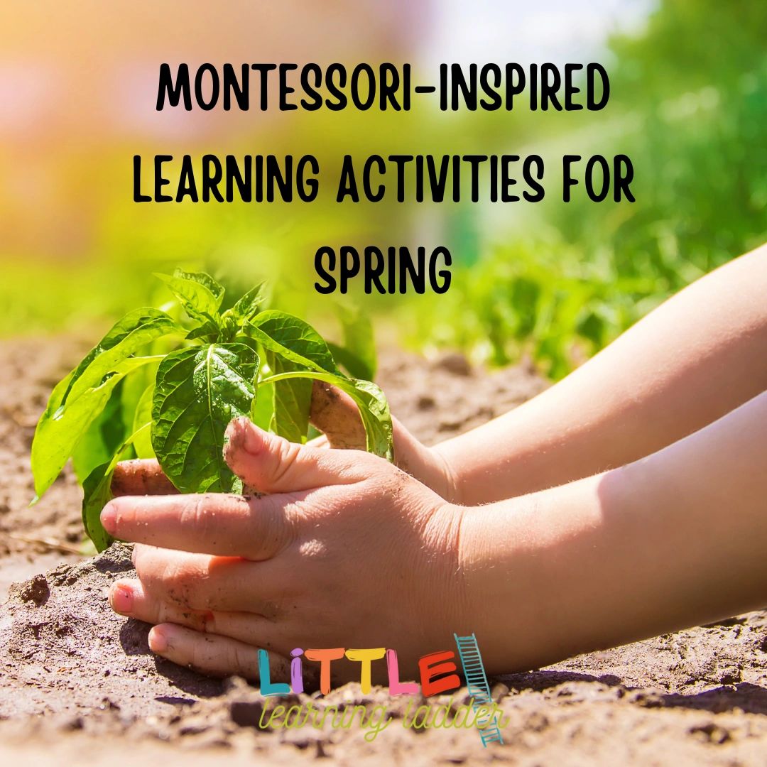 Montessori-Inspired Learning Activities for Spring