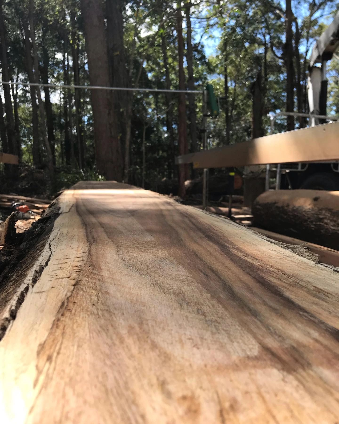 milling process | Hinterland Timber