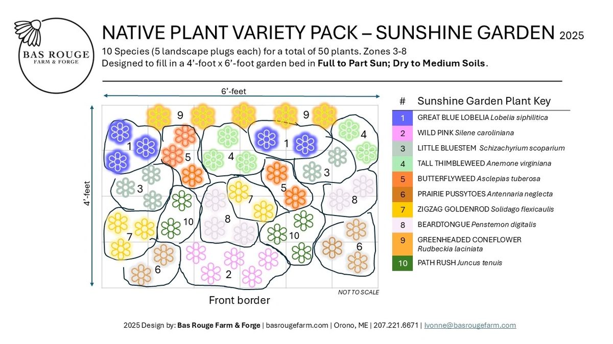 Native Plant Variety Packs - Sun or Shade