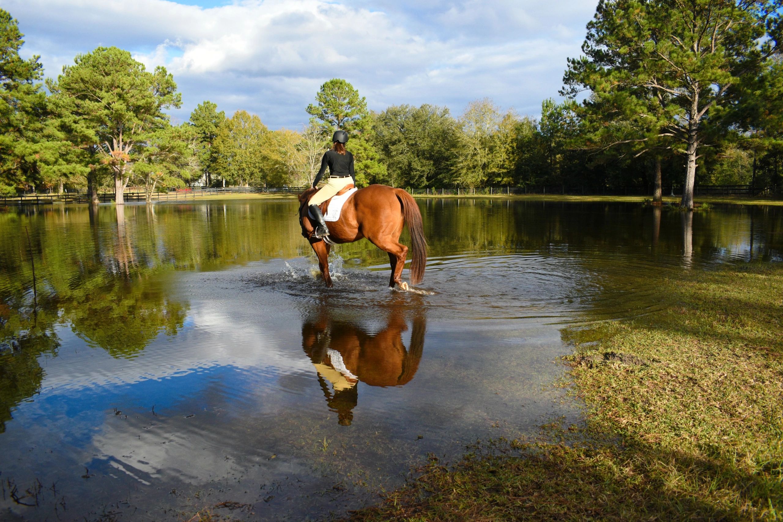 JuneBug'z Garden Photography