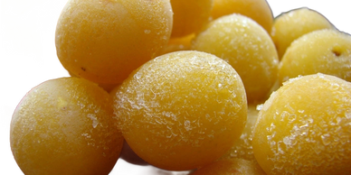 FROZEN FRUIT | Bushfood Farms Australia - Native Food Wholesalers