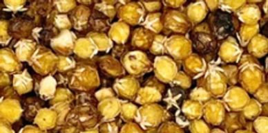 Bushfood Farms Australia - Native Food Wholesalers - online