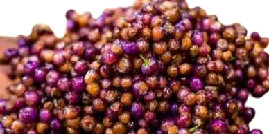 Bushfood Farms Australia - Native Food Wholesalers - online