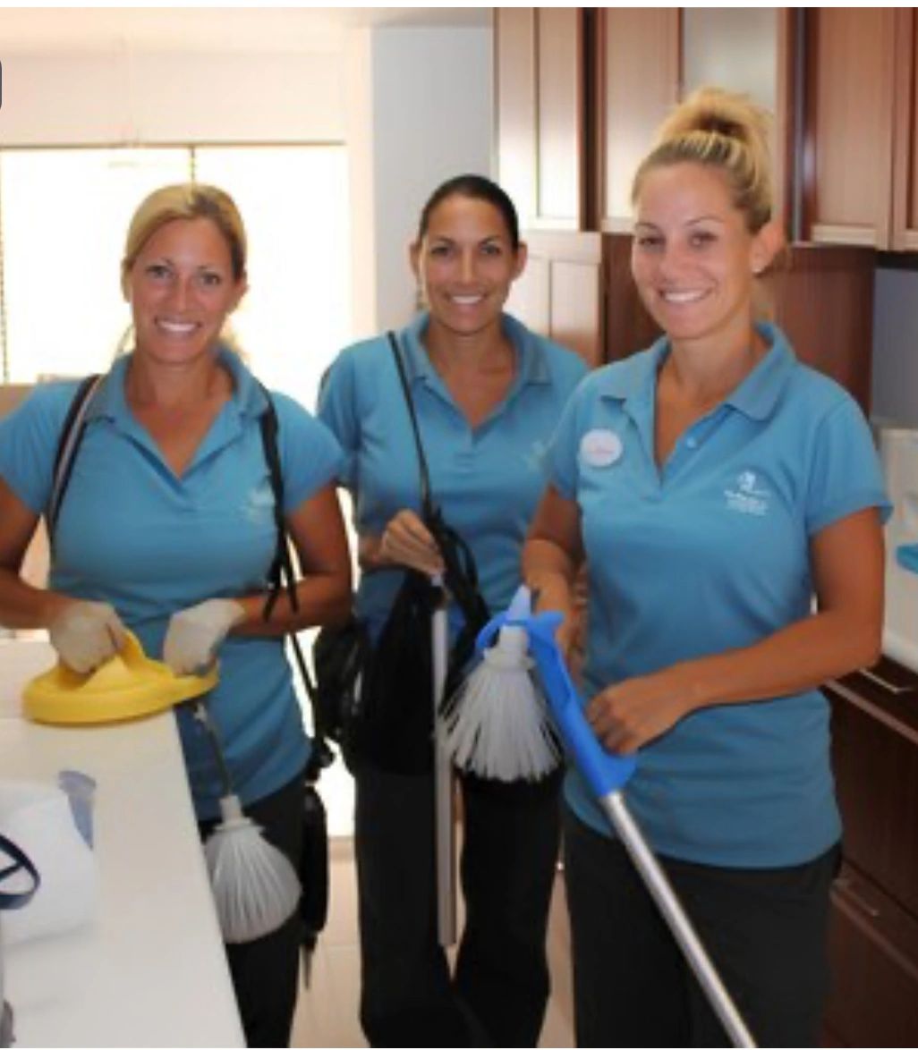 The Cleaning Experts