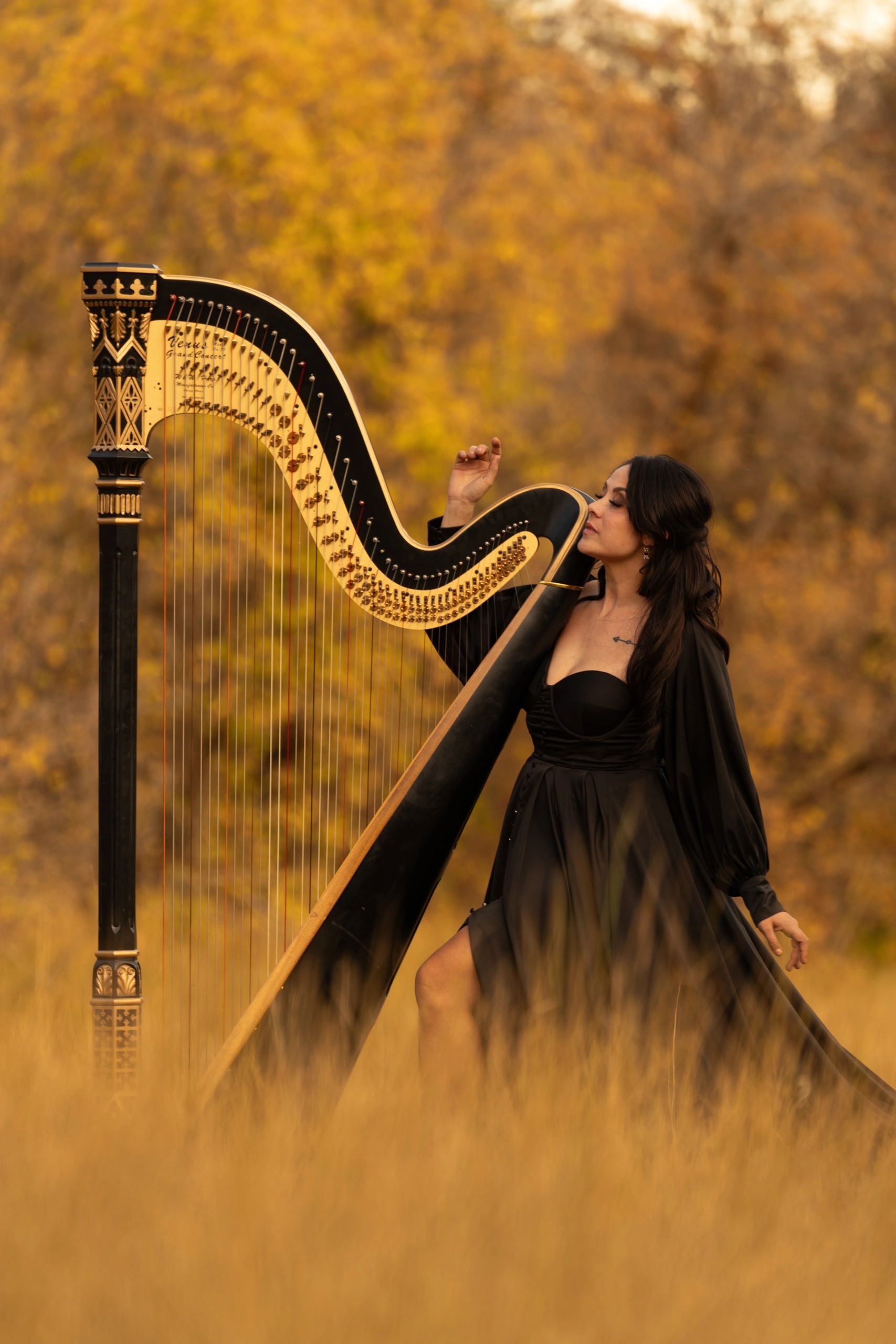 About | The Barefoot Harpist