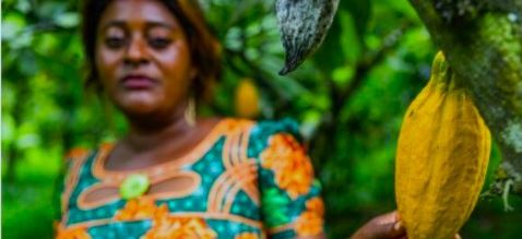 The People's Chocolate of Cameroon