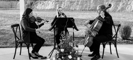Beau Son Strings & Ensembles, LLC