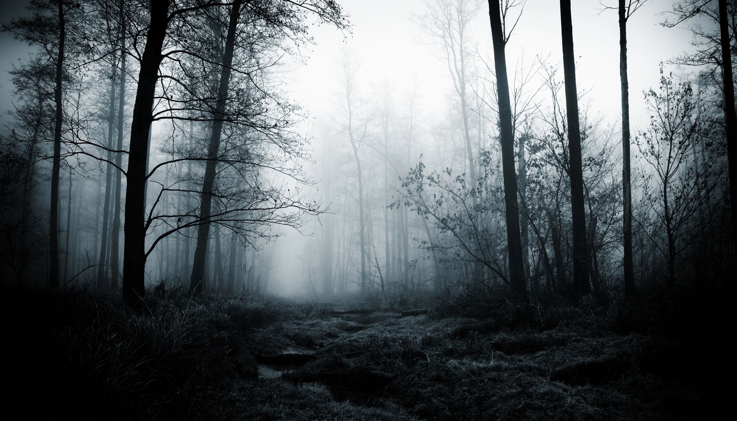 Writer and Poet - Delaney L. Mathew