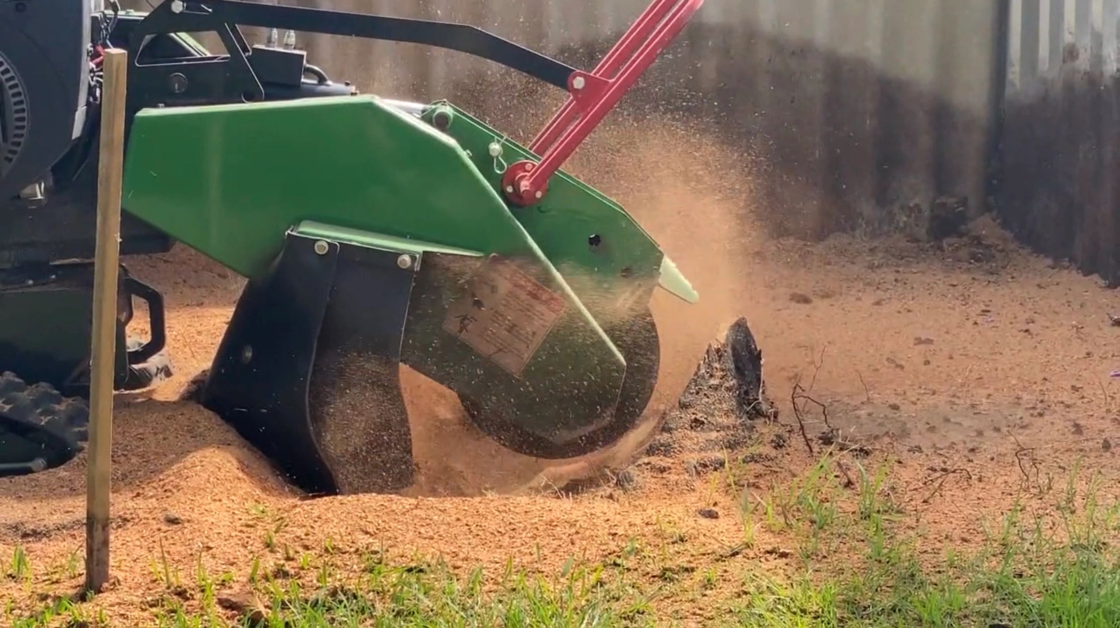 Expert Tree Lopper Services | Tree Service Company