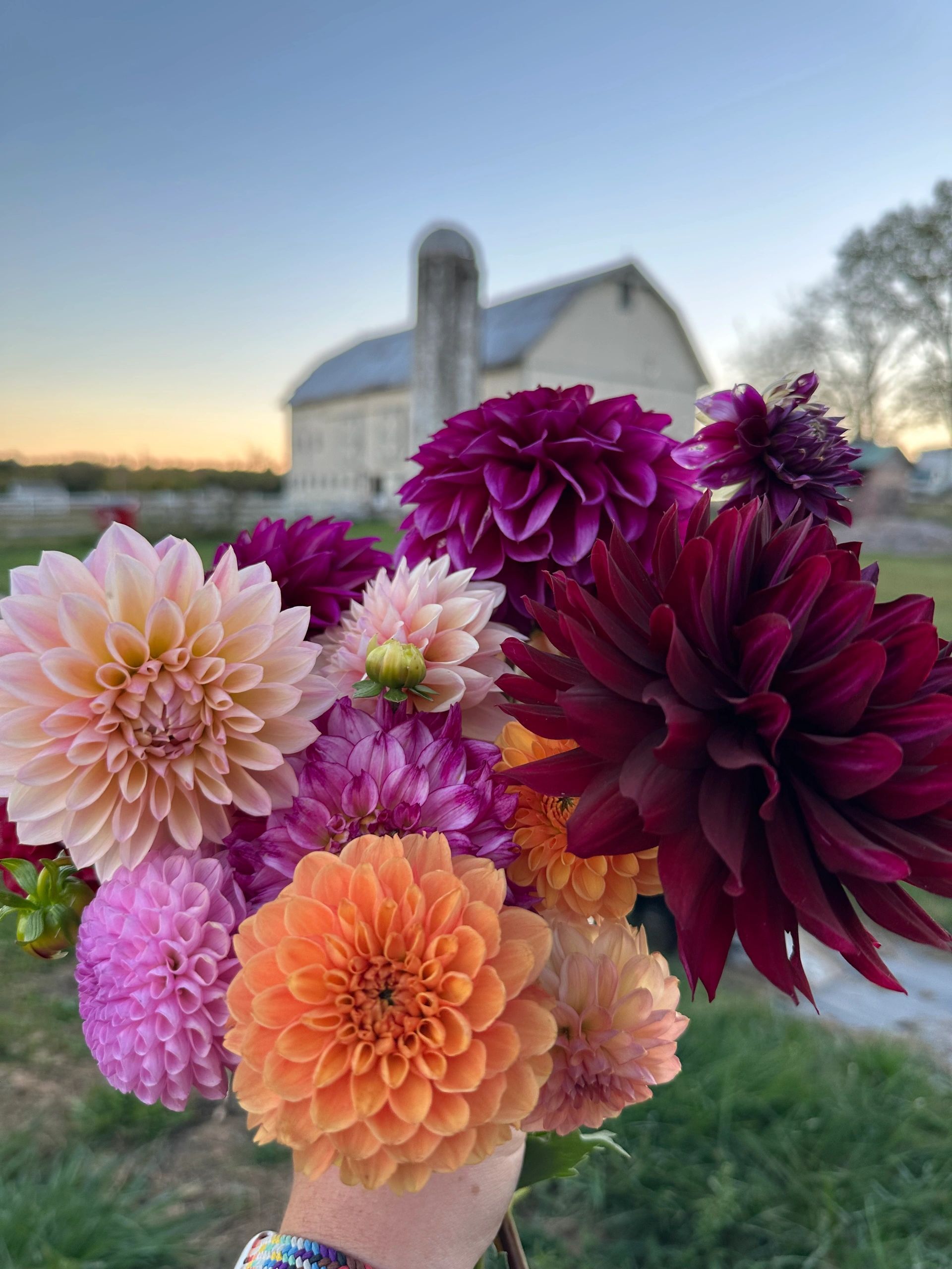 Carved Oak Farm
