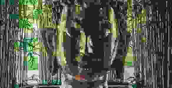 Spa, Massages - Alchemy Mind And Body - Princeton, New Jersey