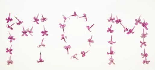 Spa, Massages - Alchemy Mind And Body - Princeton, New Jersey