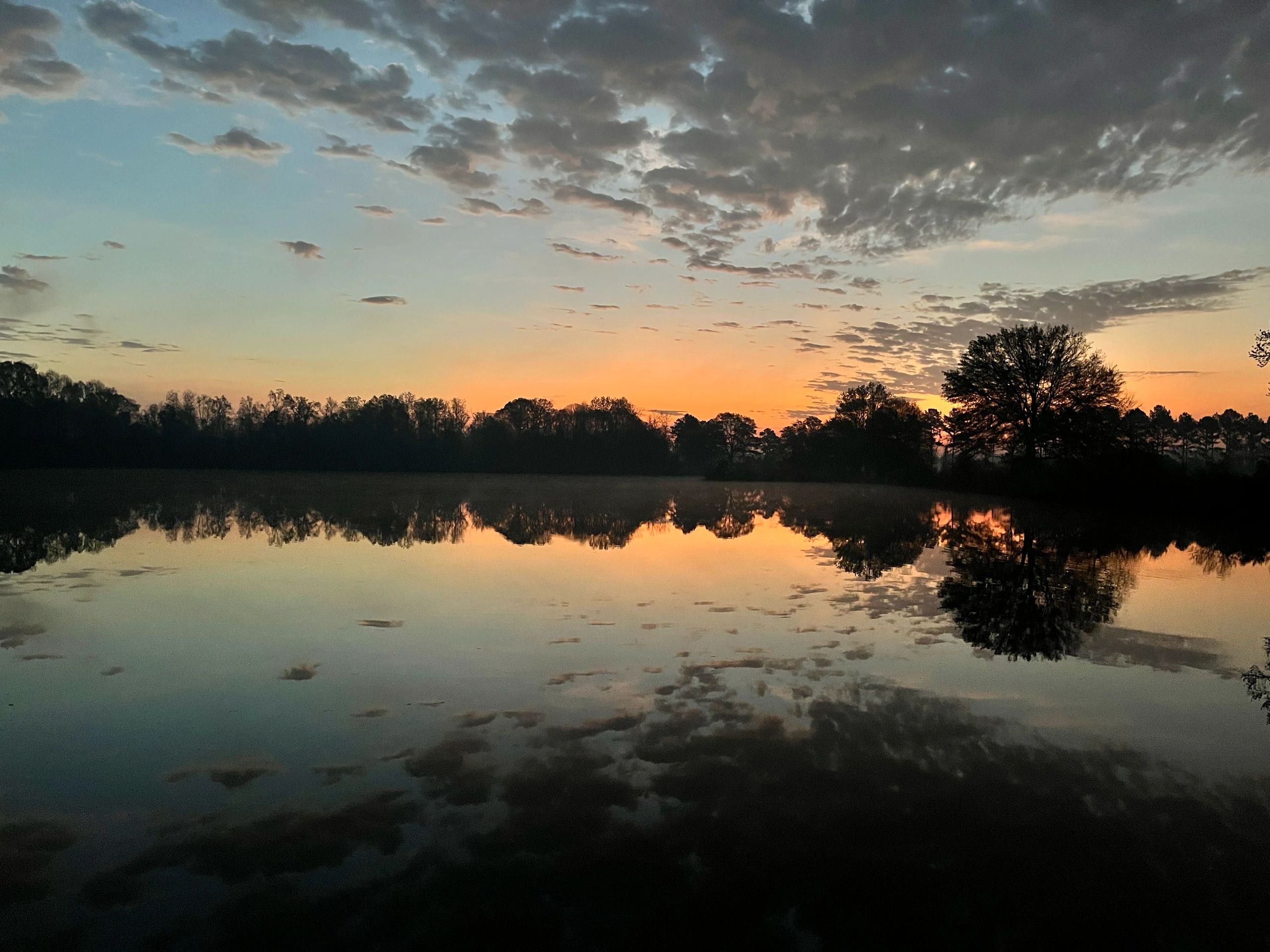 Regenerative Agriculture Programs - Think Regeneration