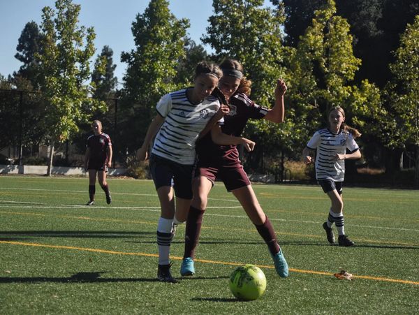 Posted Comp Schedules