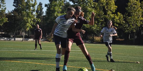 Posted Comp Schedules