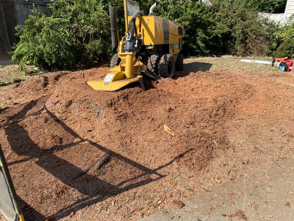 Easy Stumps and Tree Service