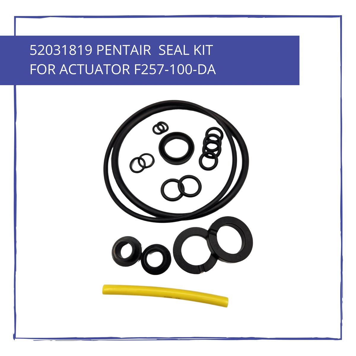 52031819 Pentair F257 Actuator Seal Kit