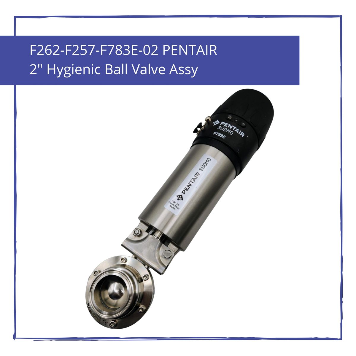 F262-F257-F783E-02 2" PENTAIR Hygienic Ball Valve Assy